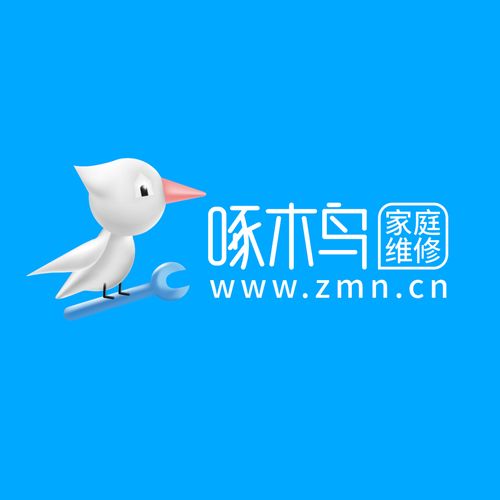 啄木鸟家装维修图标