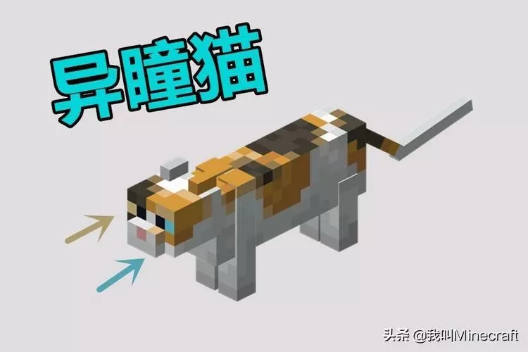 我的世界如何驯养猫图标