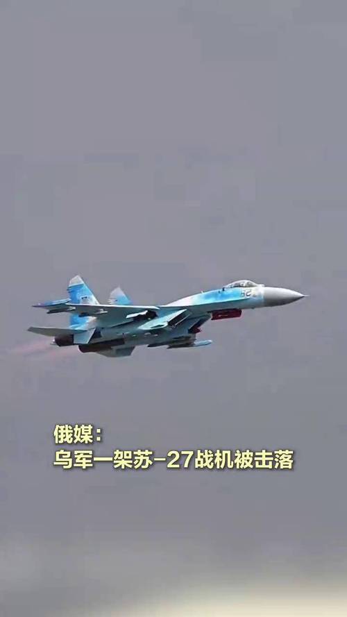 乌克兰一架苏-27战机坠毁截图