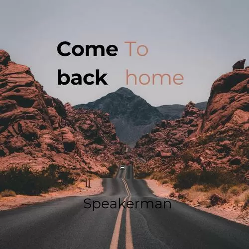 get back home截图