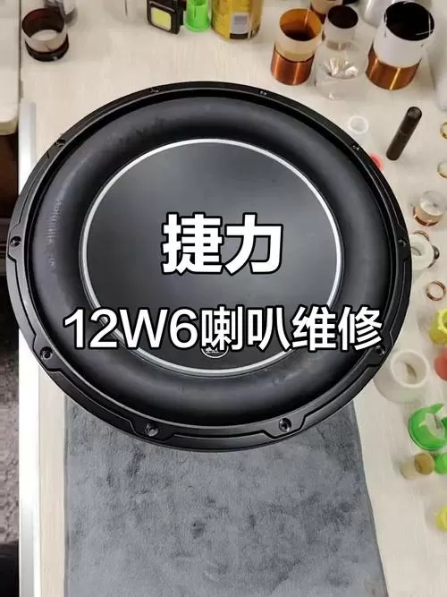 低音喇叭音圈坏了会怎么样截图