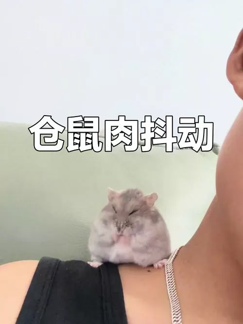 仓鼠一直发抖不睁眼了截图