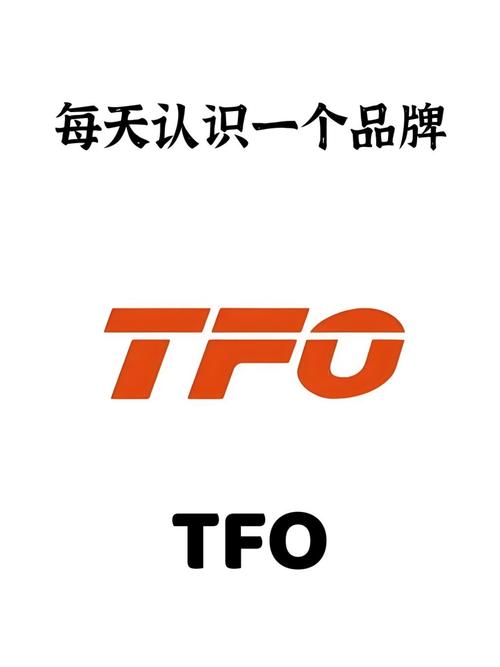 CLIMAXVISION中文叫啥图标