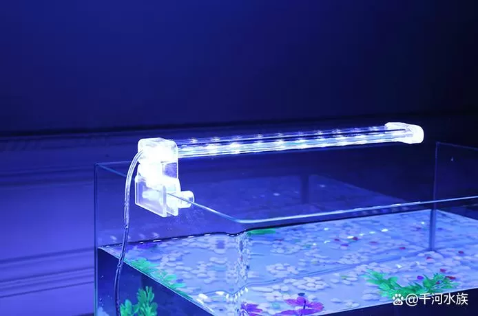 鱼缸灯排名截图