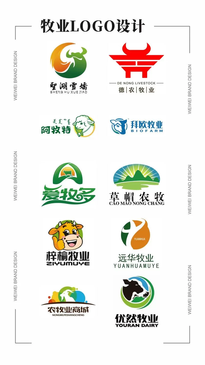 养牛技术和饲养方法图标
