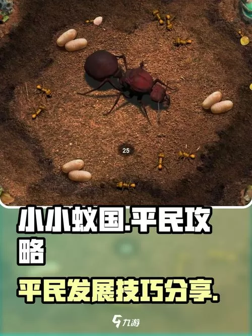 小小蚁国堵路教程图标