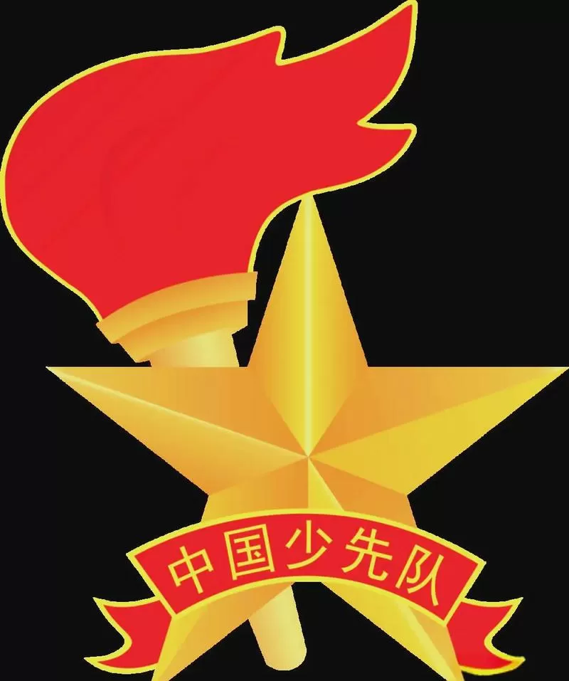 全国少先队员管理信息平台图标