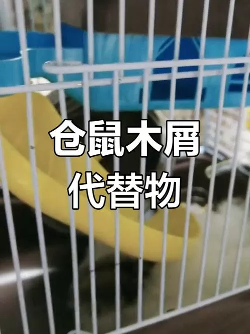 仓鼠的木屑可以用什么东西代替截图