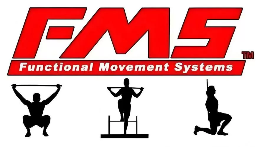 fms模型图标