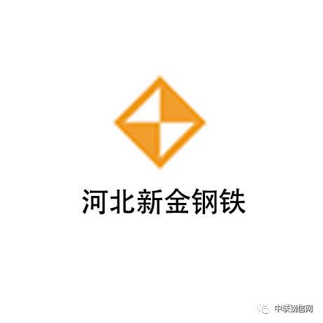 河北新金集团简介图标