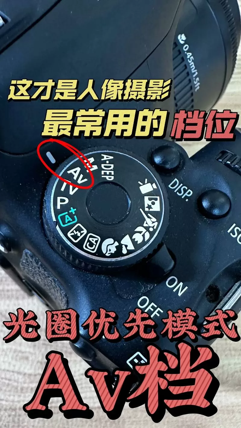 佳能无镜头释放快门设置在哪