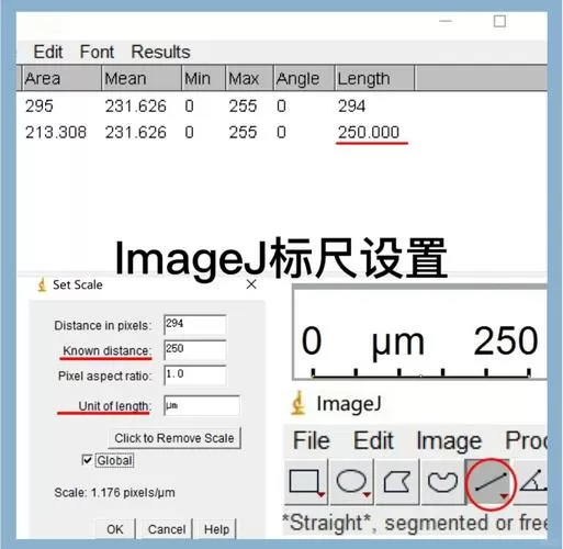 参数怎么填写截图