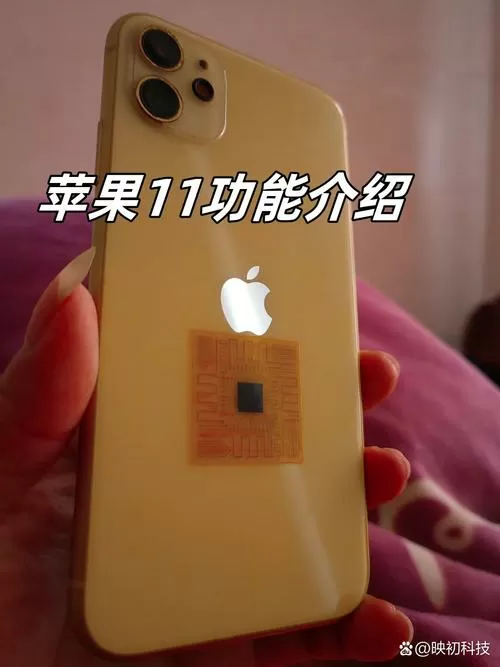 苹果11有哪些功能图标