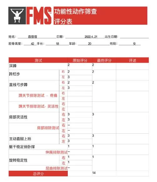 fms功能性运动测试评分标准图标