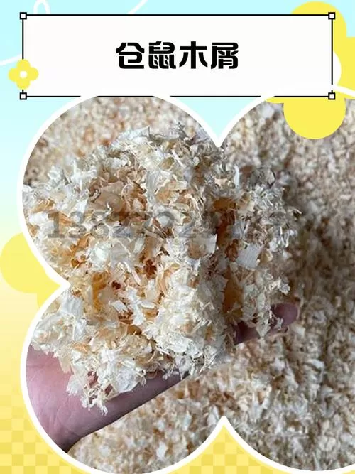 仓鼠可以没有木屑吗图标