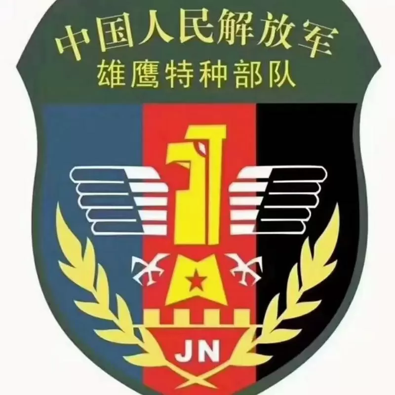 2009阅兵特种部队视频图标