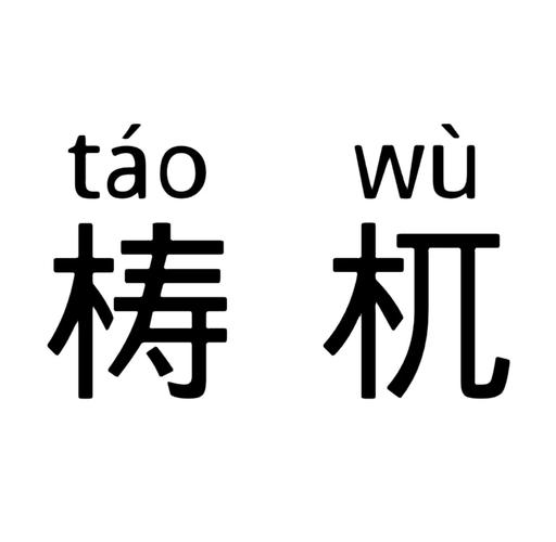 犰狳的视频图标