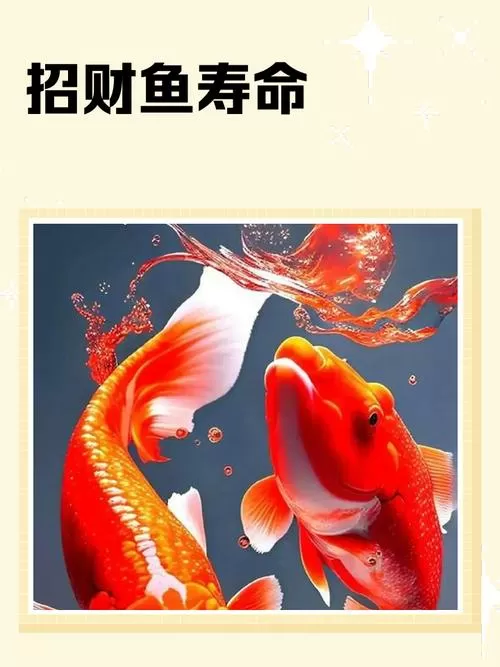 财神鱼养几条吉利图标