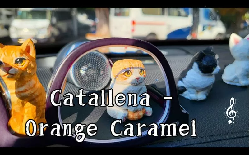 橙子焦糖catallena