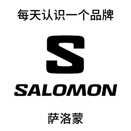 saloy官方正版免费下载截图