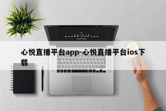 心悦直播app的下载方式图标