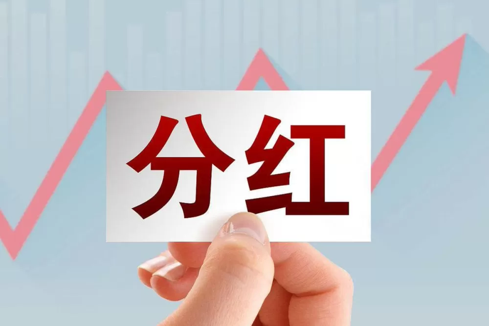 股东是企业分红要交税吗游戏截图