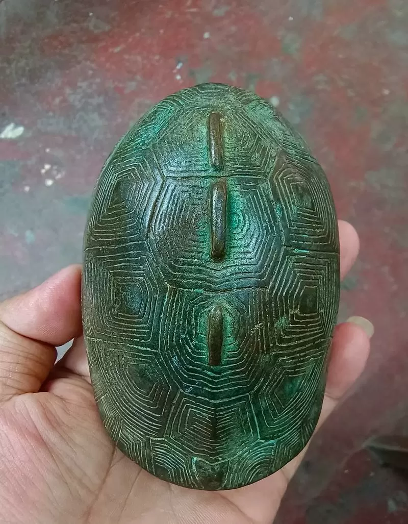 六爻占卜龟壳摇卦图标