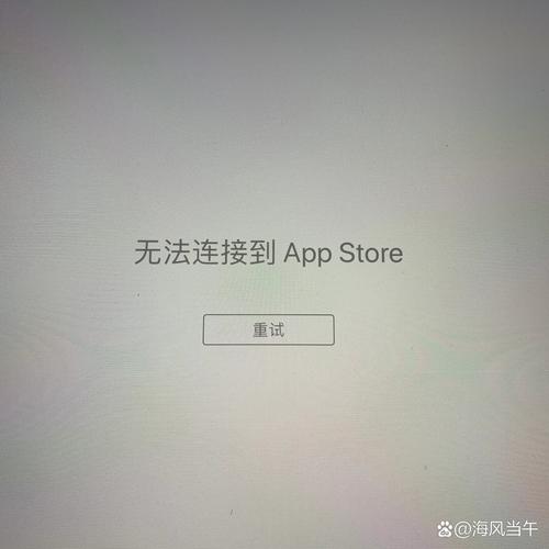 刚买的ipad无法购买app截图
