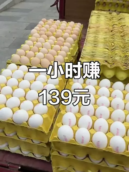 卖鸡蛋赚钱吗图标