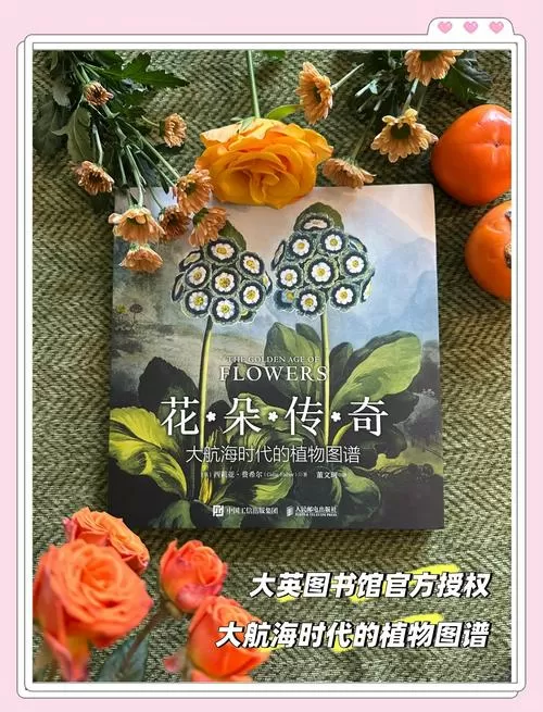 花朵传奇免费中文版截图