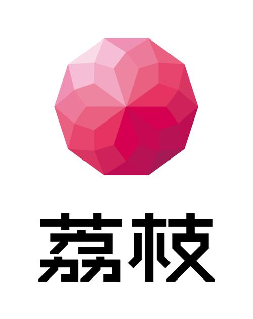 荔枝阅读小说图标