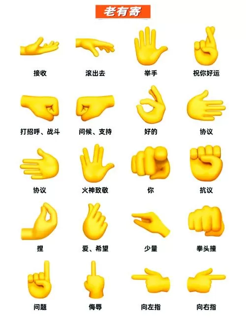 各种手势的意思截图