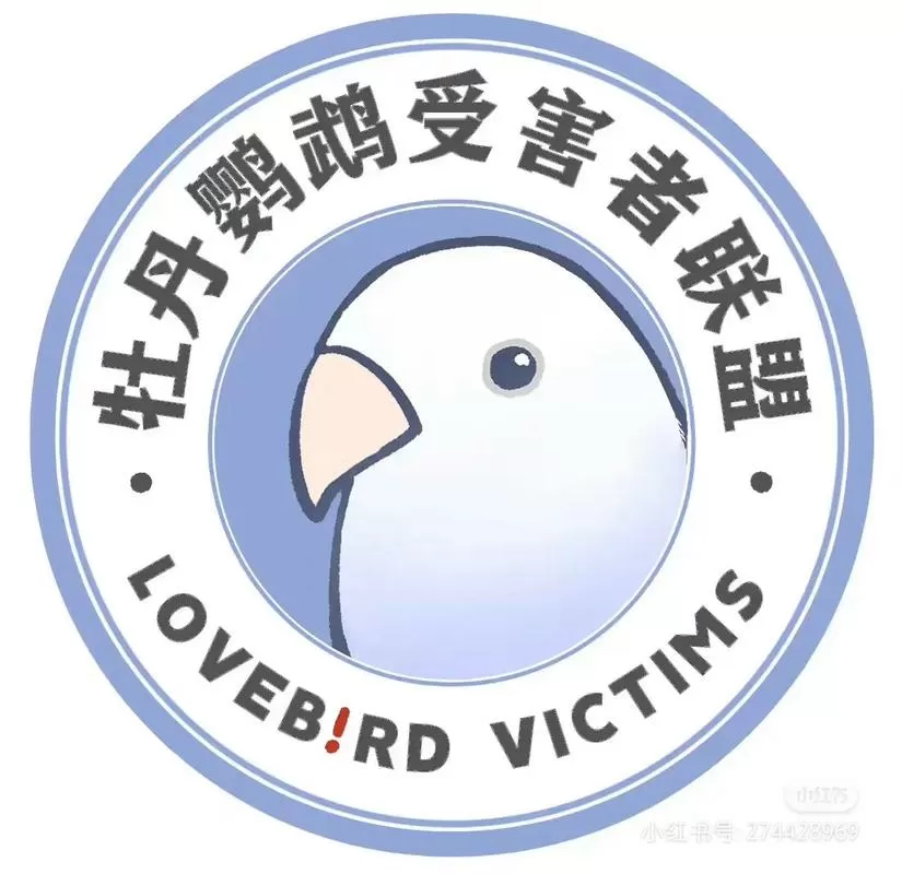 怎么把鹦鹉弄失声截图