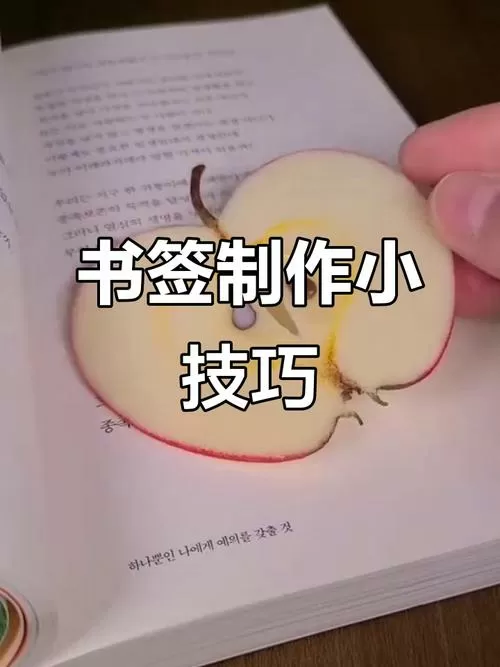 苹果书签在哪里能找到截图