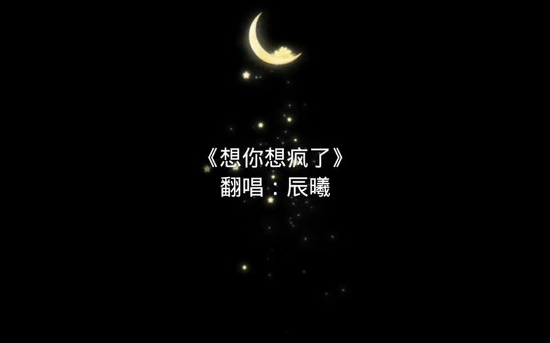 想你想疯了 小说图标