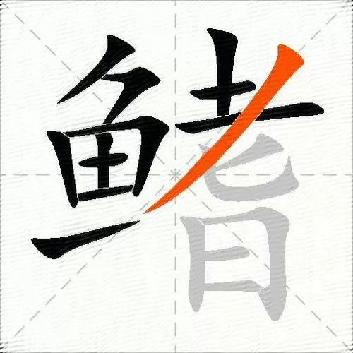 鳍的拼音怎么写啊图标