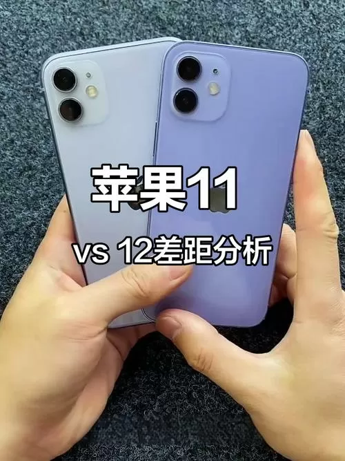 苹果11和12的拍照区别截图