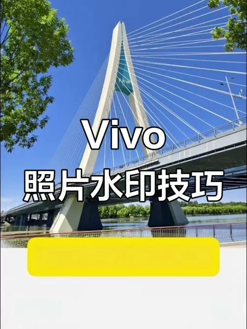 vivo怎么拍水印照片截图