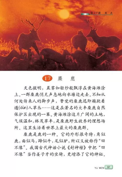麋鹿阅读题原文及答案图标