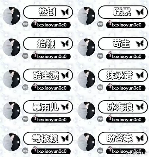 id是什么意思饭圈图标