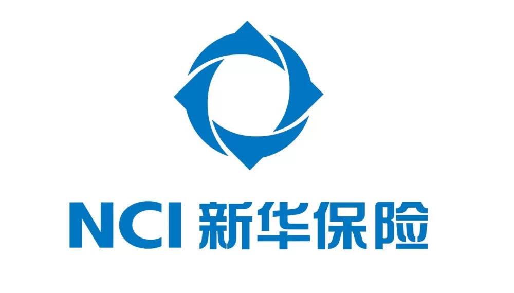 xinhua是什么意思游戏截图