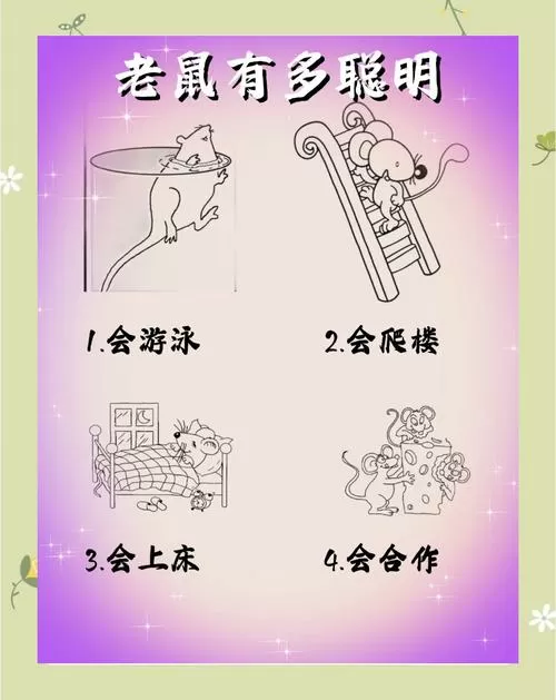 类似智慧鼹鼠的项目图标