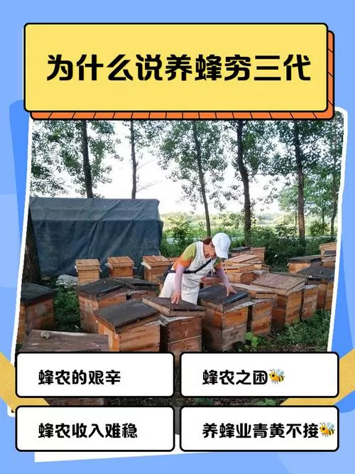为什么说养蜂穷三代图标