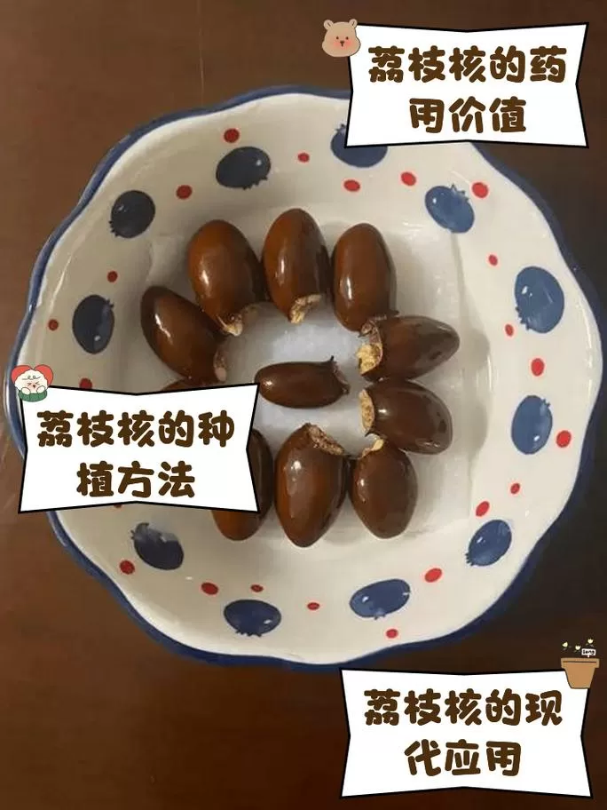 荔枝核吃了会中毒吗图标