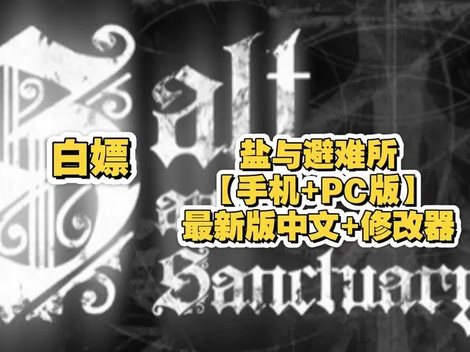 盐与避难所安卓中文版图标