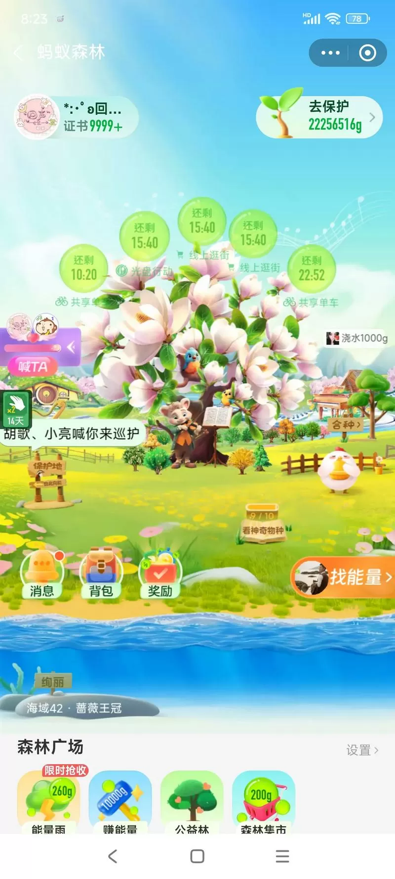 蚂蚁森林合种一天最多浇多少水
