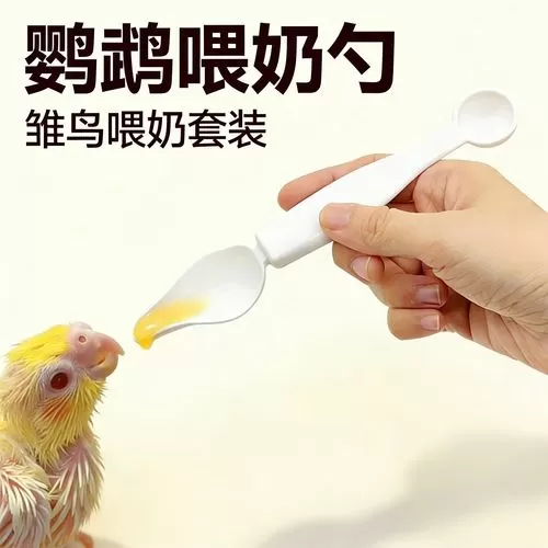 手养雏鸟失败原因
