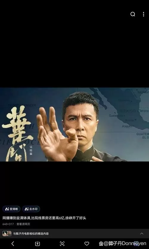大师兄甄子丹视频免费图标
