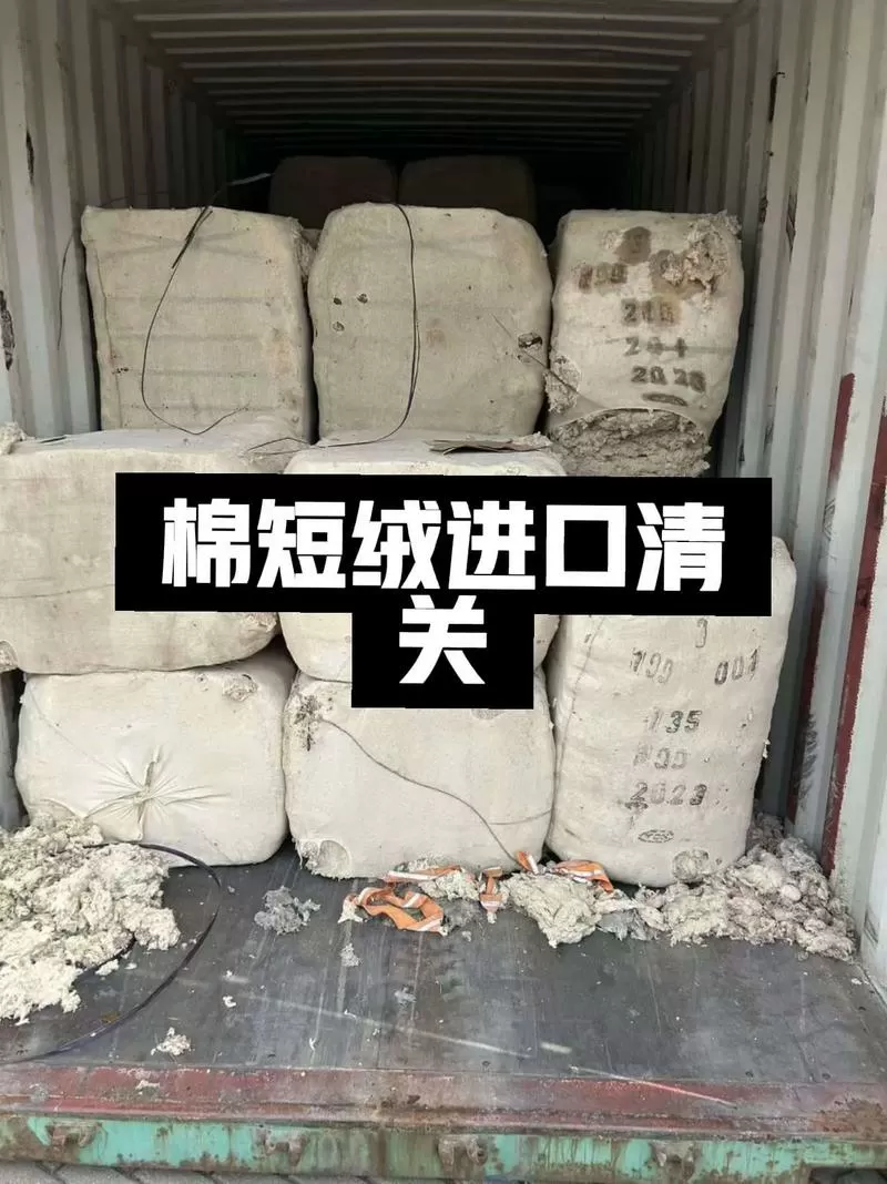 短绒棉是什么面料