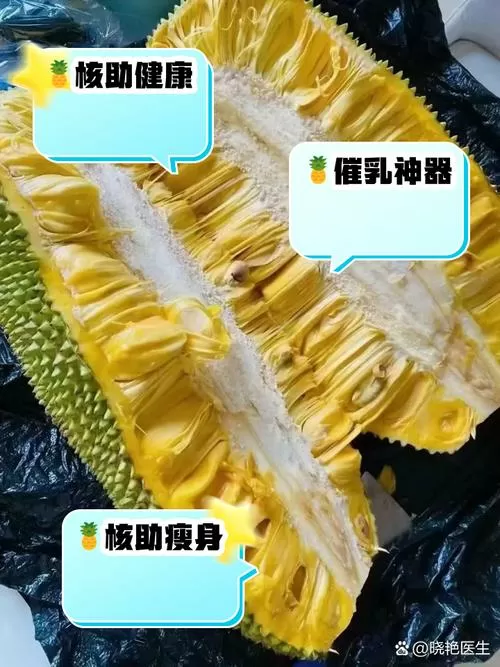 菠萝蜜的核儿起什么作用?截图